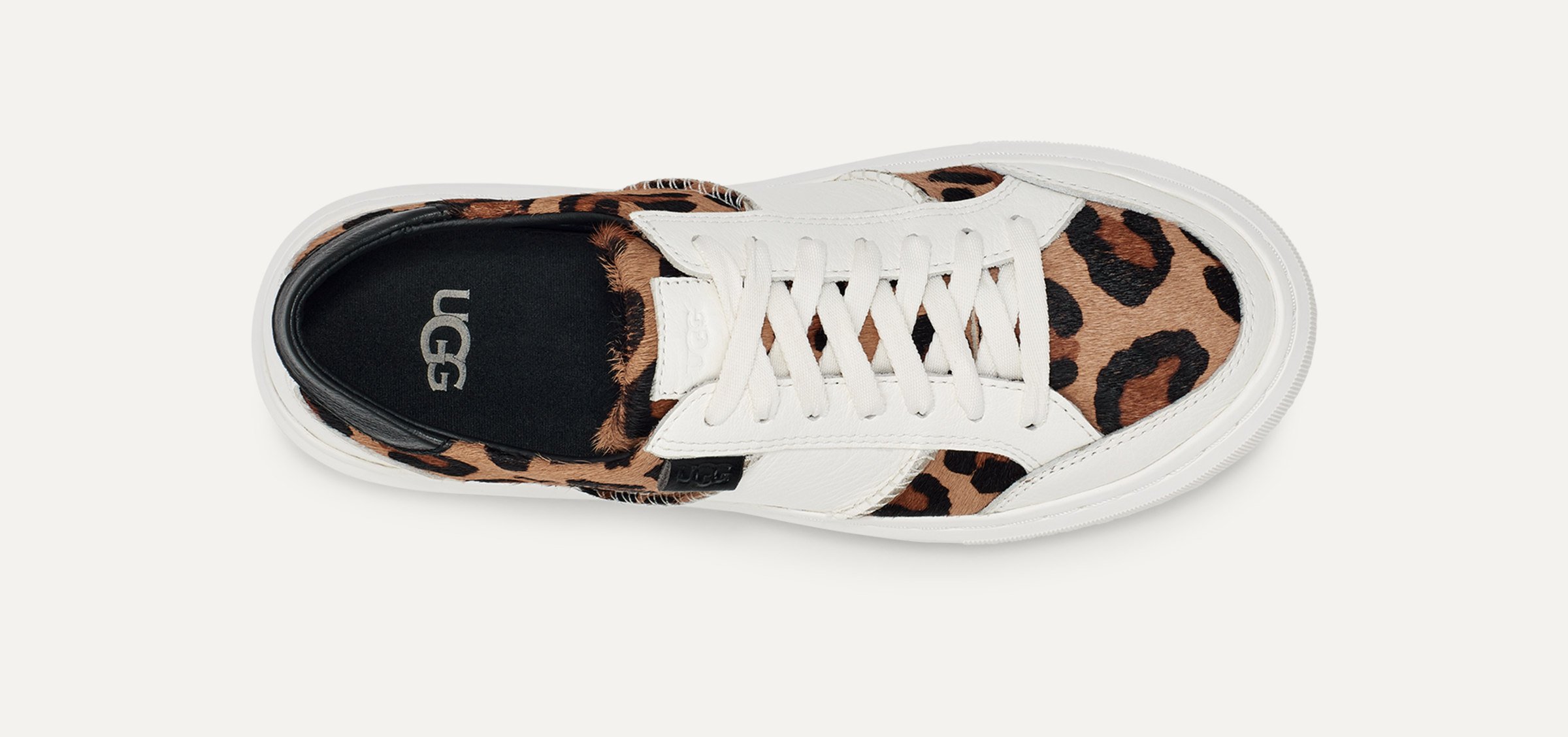 Alameda Spotty Lace Sneaker | UGG®