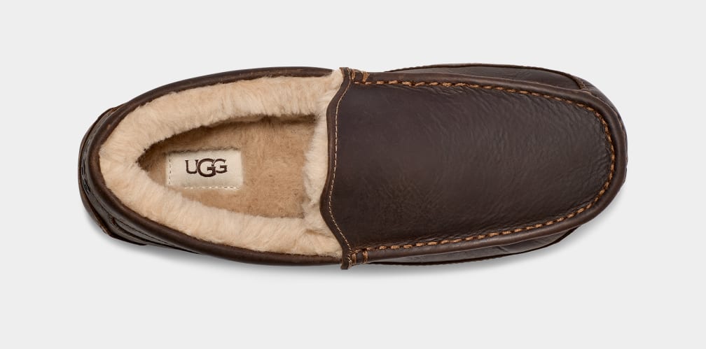 UGG Ascot Slipper for Men | UGG® UK