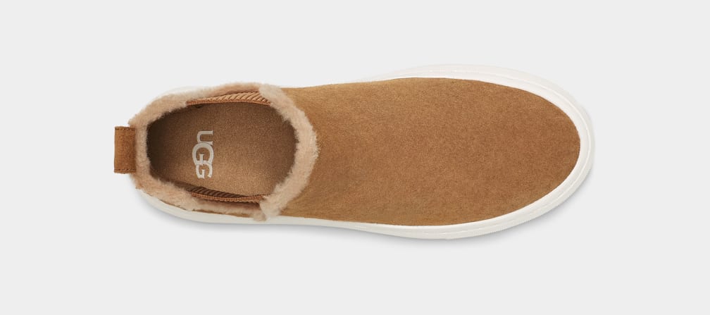 UGG Alameda Chelsea High Top Trainer for Women | UGG® UK