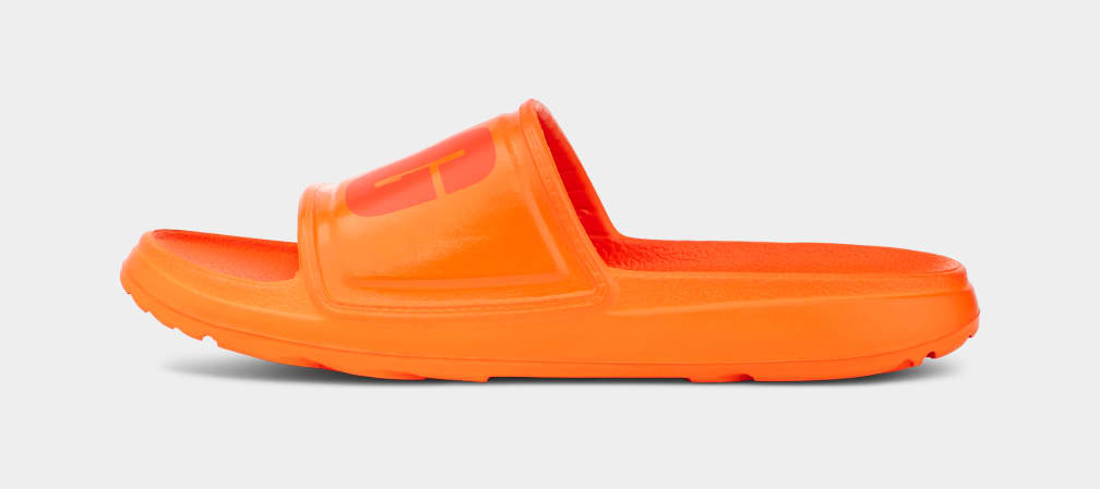 Wilcox Slide | UGG