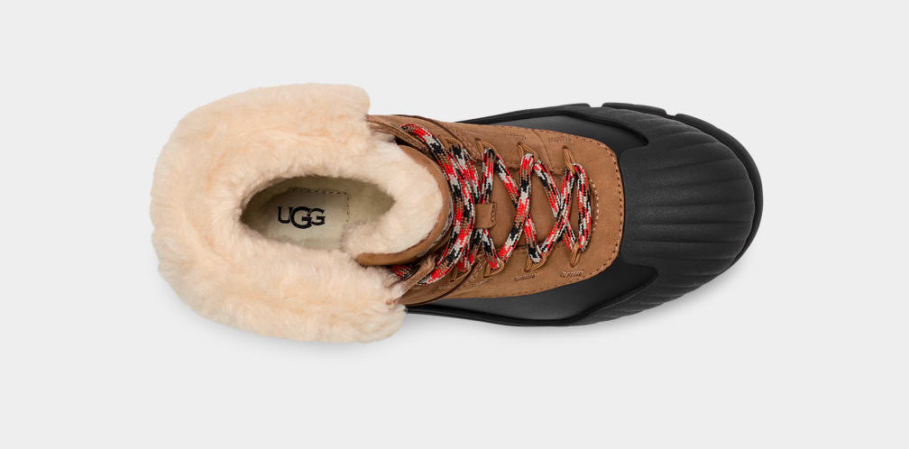 UGG® 公式【 アディローム ハイカー|Adiroam Hiker| 1130851 | レディース】アグ 公式サイト