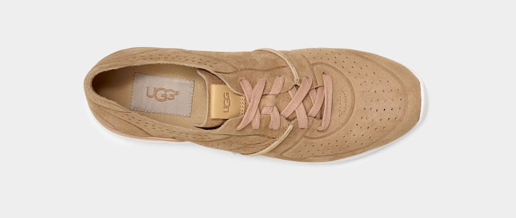 UGG Tye Trainer for Women | UGG® UK