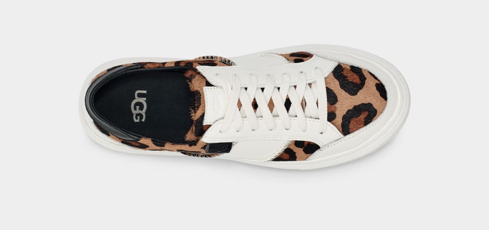 UGG® Alameda Animal Print Trainer for Women | UGG® EU