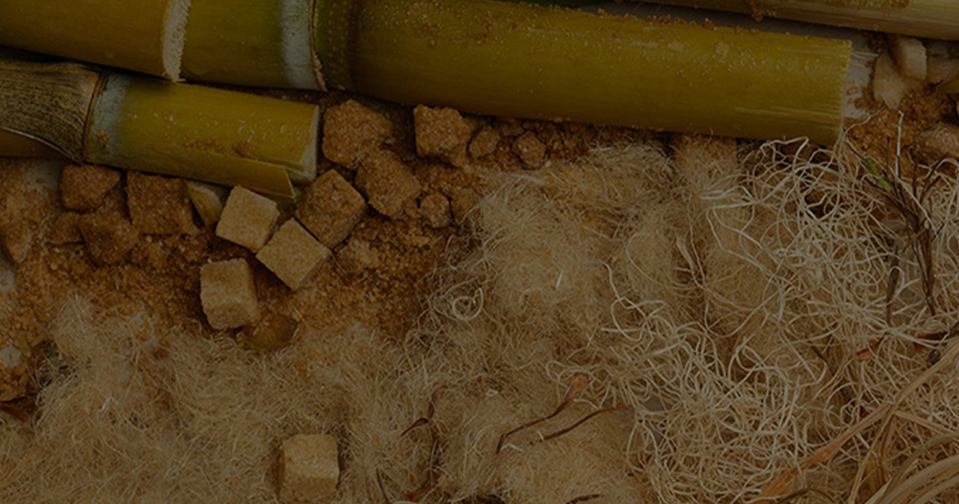 Our Purpose｜UGG®（アグ）公式サイト